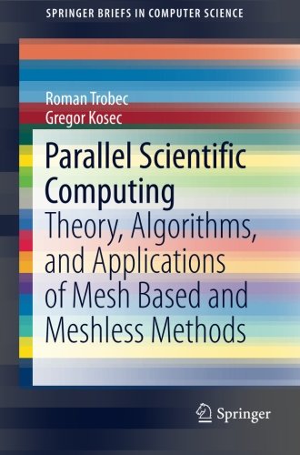 Parallel Scientific Computing: Theory, Algorithms, and Applications of Mesh Based and Meshless ...