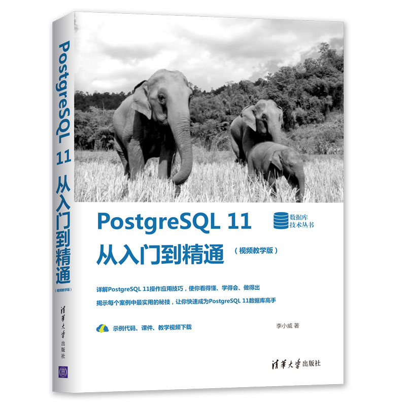 PostgreSQL 11 從入門到精通 (視頻教學版) | 天瓏網路書店