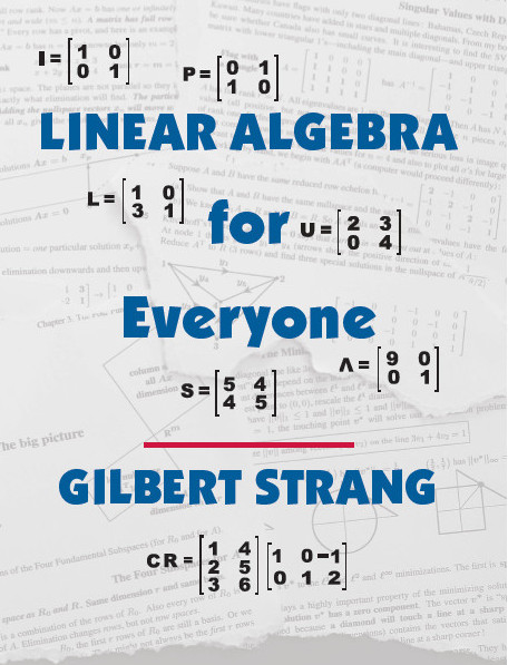 Linear Algebra for Everyone (Hardcover) | 天瓏網路書店